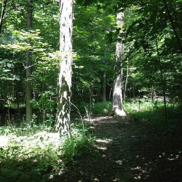 Photos at Pehkokia Woods - 2 tips from 4 visitors