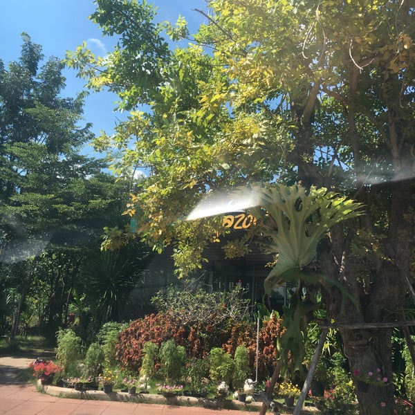 Café Amazon (คาเฟ่ อเมซอน) - Nam Yuen, อุบลราชธานี