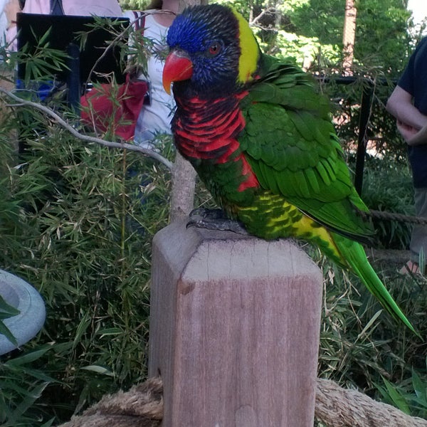 Lorikeet Glen Aviary - 5 tips from 262 visitors