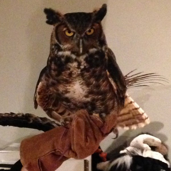 Great Valley Nature Center - Phoenixville, PA