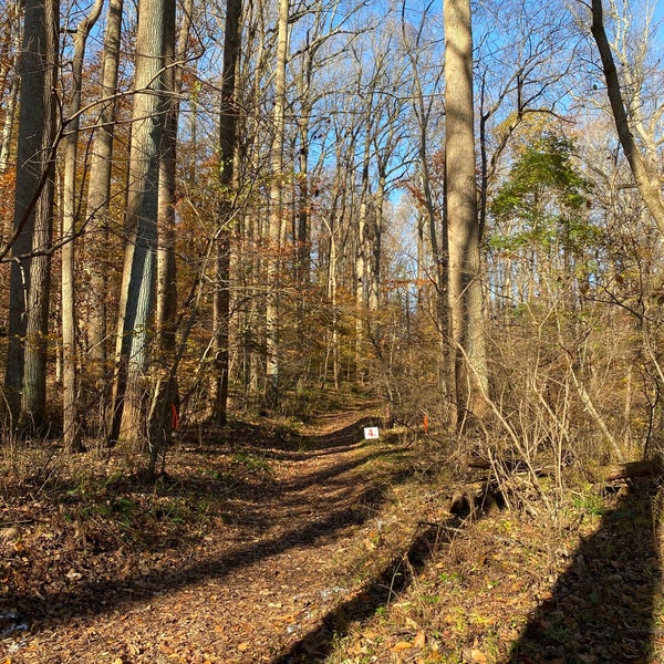 Tyler Arboretum - Media, PA