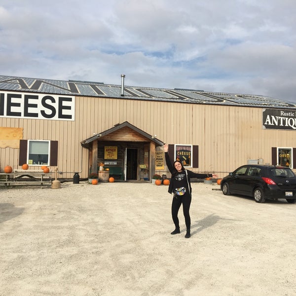 Rustic Dairyland Antique Mall - Antique Store