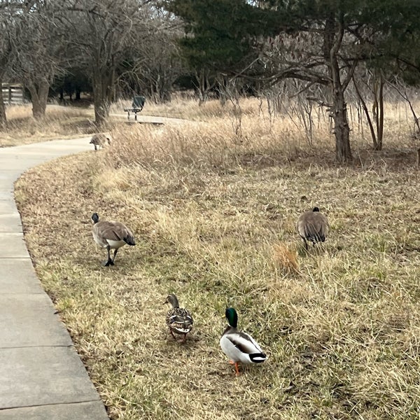 Great Plains Nature Center - Other Great Outdoors in Wichita