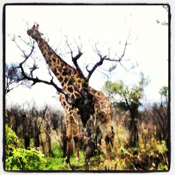 Kruger National Park - Phabeni Gate - 3 tips from 652 visitors