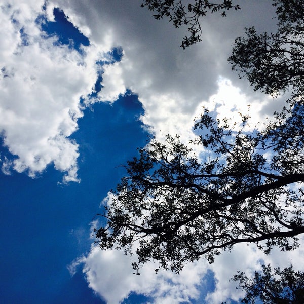 Benfer Elementary School - Spring, TX