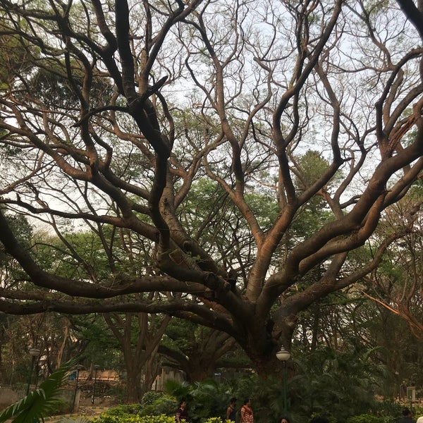 Krishna Rao Park - Park in Bengaluru