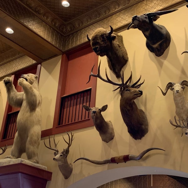 Texas Ranger Museum - History Museum in San Antonio