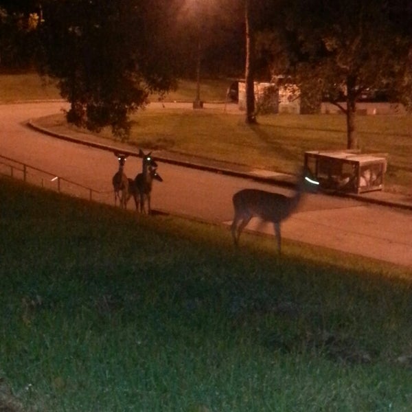 Photos at Bayou Building - College Administrative Building in Houston