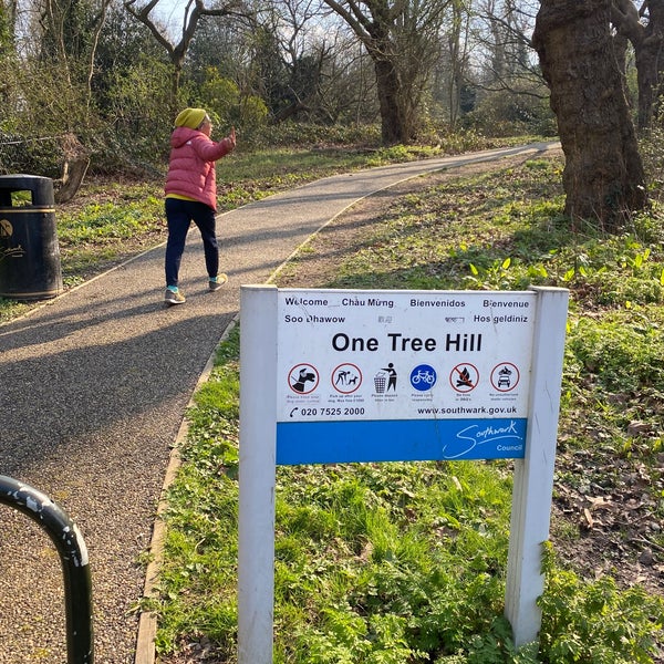 One Tree Hill - Scenic Lookout in Honor Oak