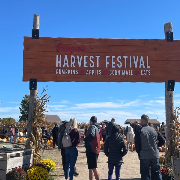 Harvest Fest at Pringles Farm: Celebrating Agriculture, Community, and ...