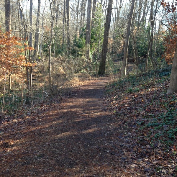 Photos at Deepdene Park - Park in Eastside