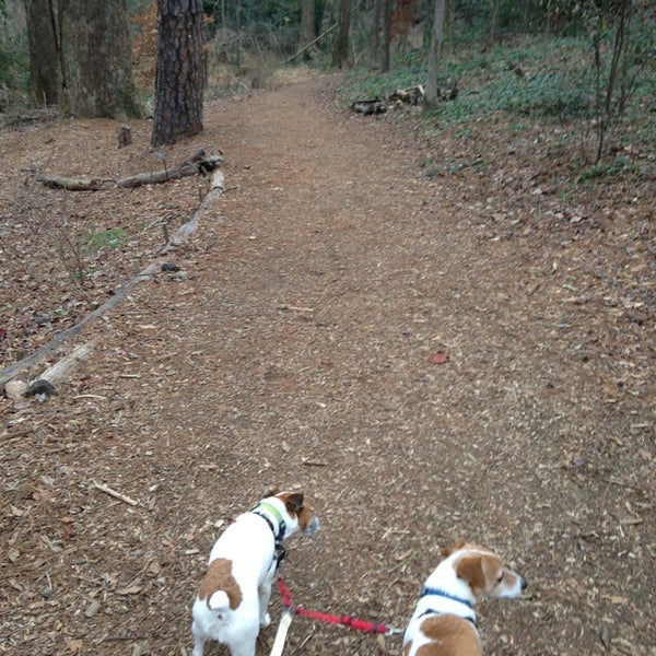 Photos at Deepdene Park - Park in Eastside