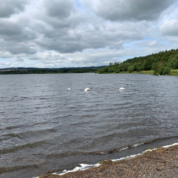 Lochore Meadows Country Park - 4 tips