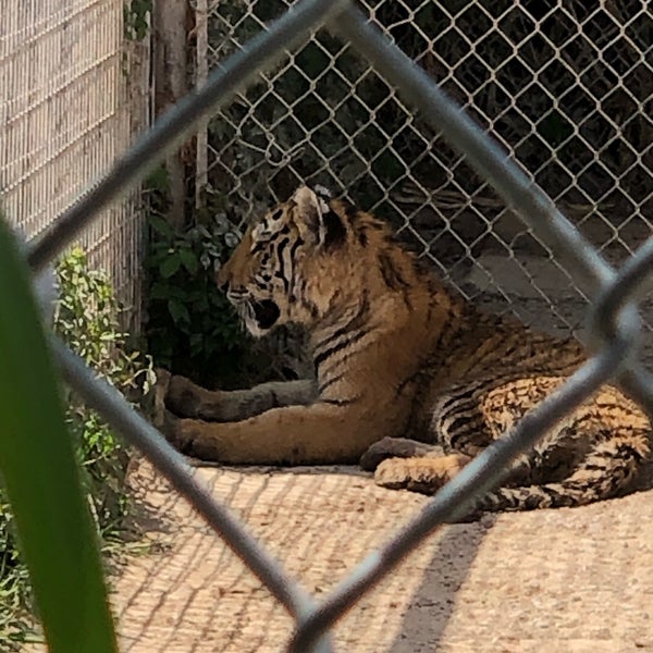 G.W. Exotic Animal Park - Zoo in Wynnewood
