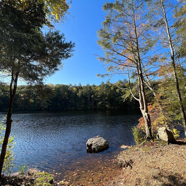 Douglas State Forest - Forest