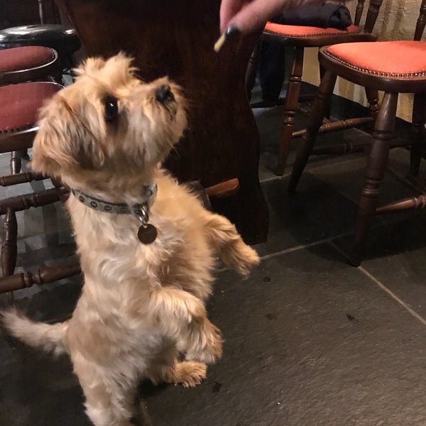 The Old Thatch Inn - Pub