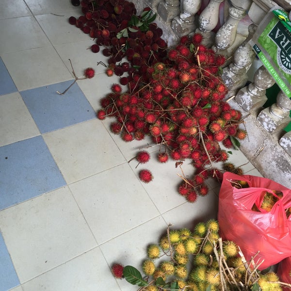 Felda Bukit Aping Timur - Farm in Kota Tinggi, Johor