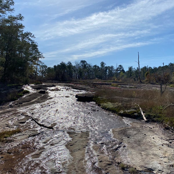 Arabia Mountain Trail - Hiking Trail