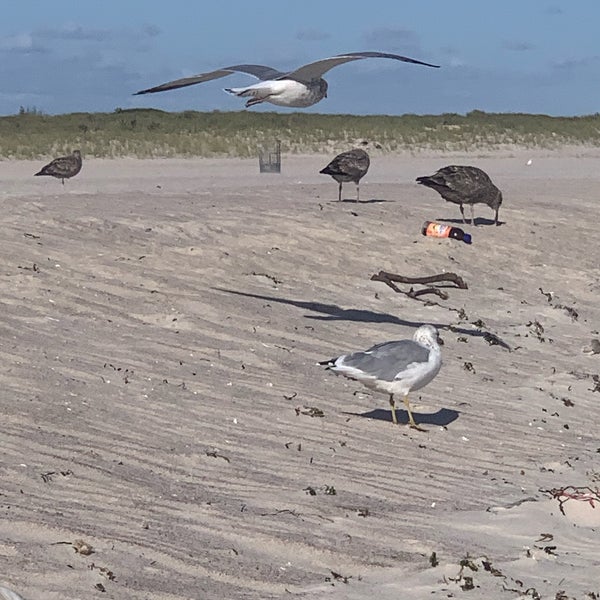 Photos at Jones Beach - Field 5 - 1000 Ocean Pkwy