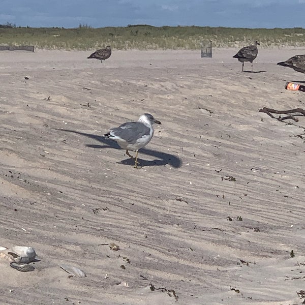 Photos at Jones Beach - Field 5 - 1000 Ocean Pkwy