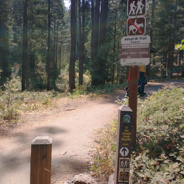 Arnold Rim Trail - trailhead at Sierra Nevada Logging Museum - Arnold, CA