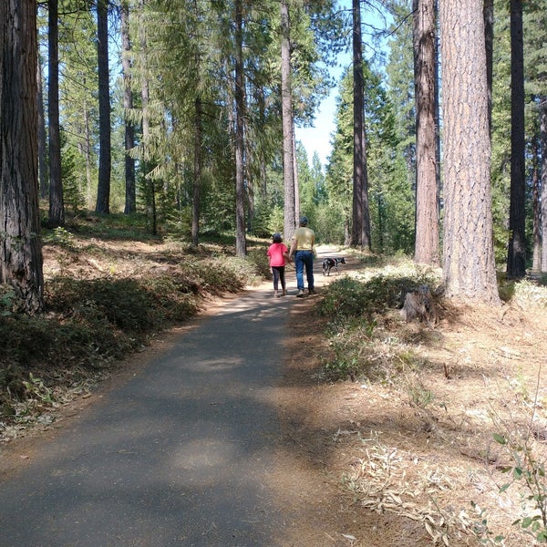 Arnold Rim Trail - trailhead at Sierra Nevada Logging Museum - Arnold, CA