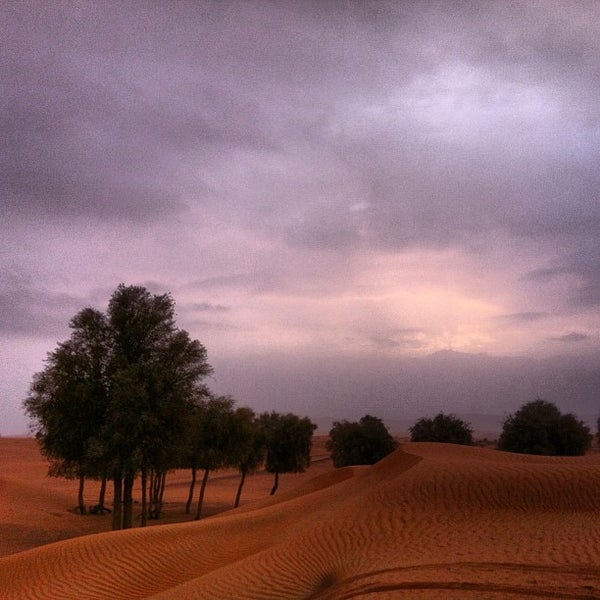Al Faya Desert - 7 tips from 521 visitors