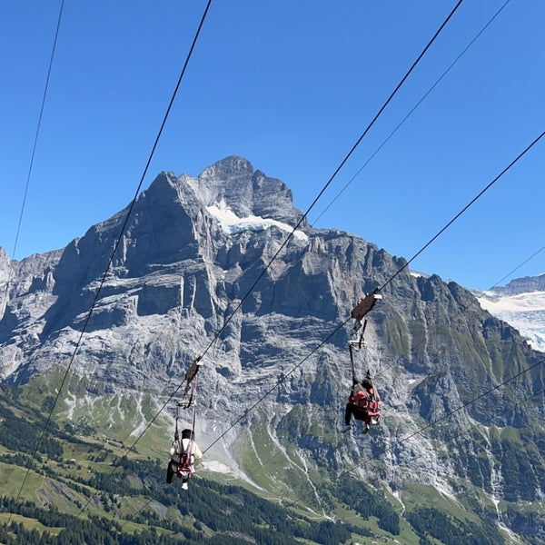 First Flyer - Attraction in Grindelwald
