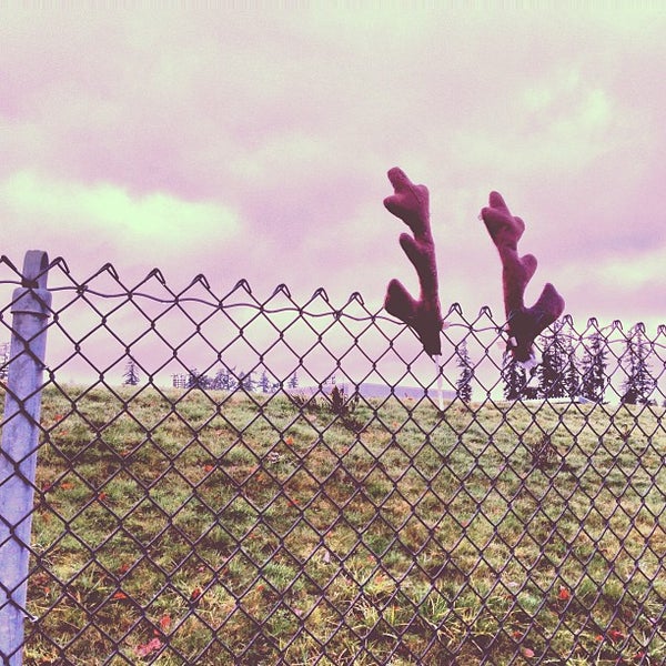 Photos at Microsoft Building 84 - Overlake - Redmond, WA