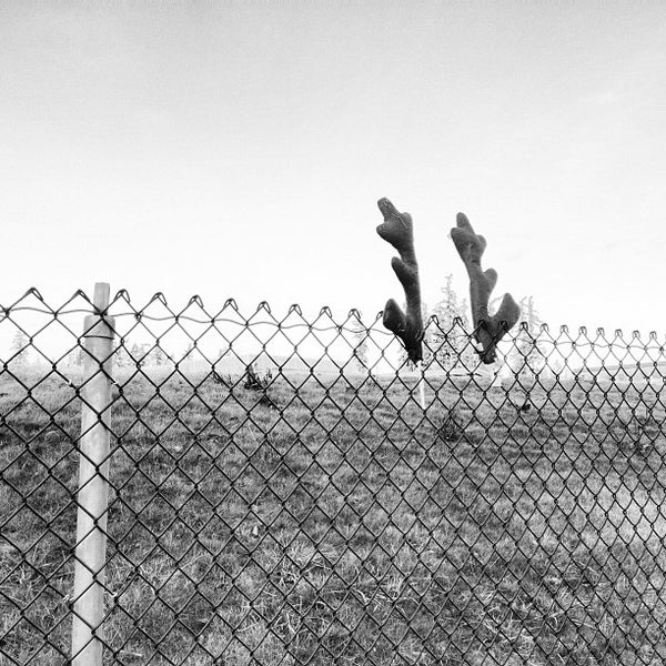 Photos at Microsoft Building 84 - Overlake - Redmond, WA