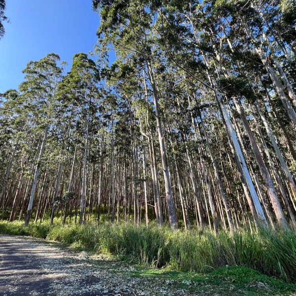 Honoka'a - Honoka‘a, HI