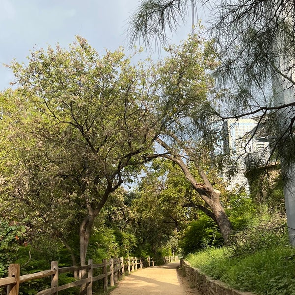 Ann & Roy Butler Trail - Hiking Trail in Downtown Austin