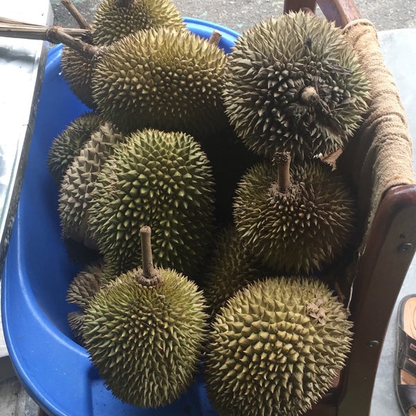 DIMAL CHALET - Resort