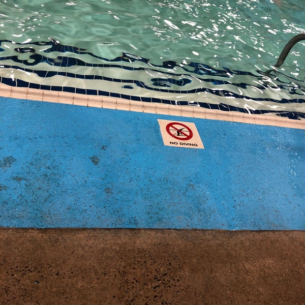 Wise Swim School - Swimming Pool