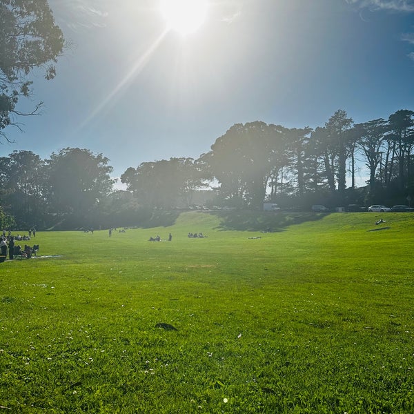 Lindley Meadow - Golden Gate Park - 5 tips from 2362 visitors
