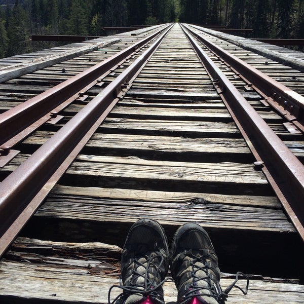 Vance Creek Viaduct Trail - Hiking Trail