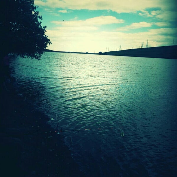 Baltă Bălănoaia - Fishing Area in Giurgiu