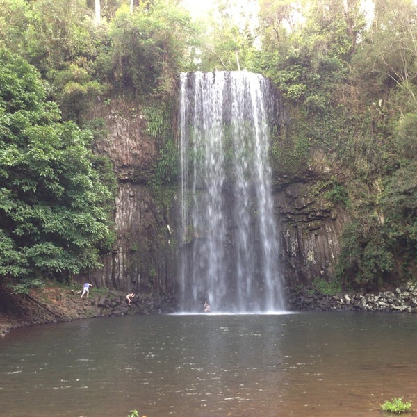 Millaa Millaa Falls - Waterfall