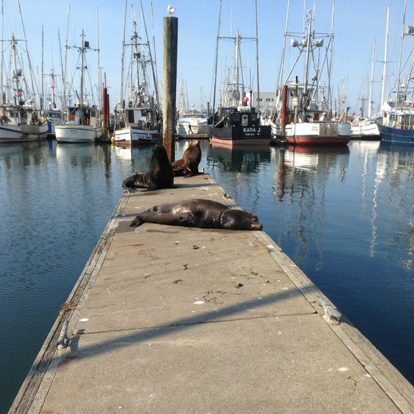 charleston docks - Harbor or Marina