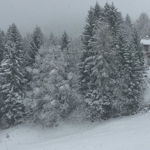 Monte Bondone - 9 tips from 424 visitors