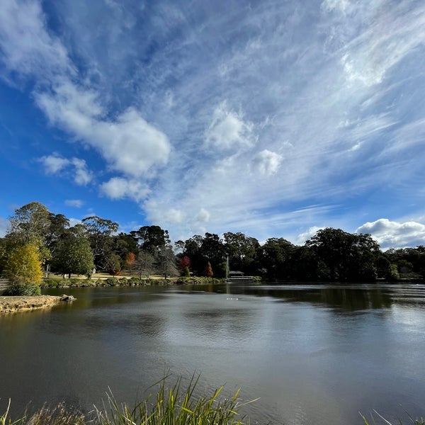 Lake Alexandra - Lake