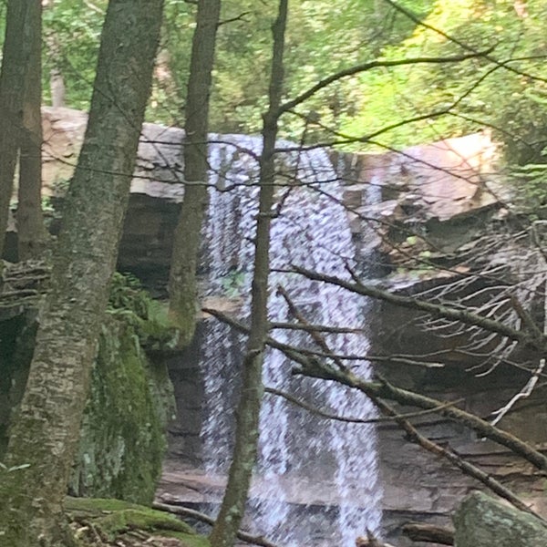 Cucumber Falls - Waterfall