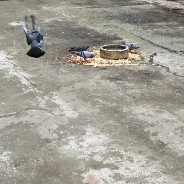 Kgk towers, datta pada road, borivili east