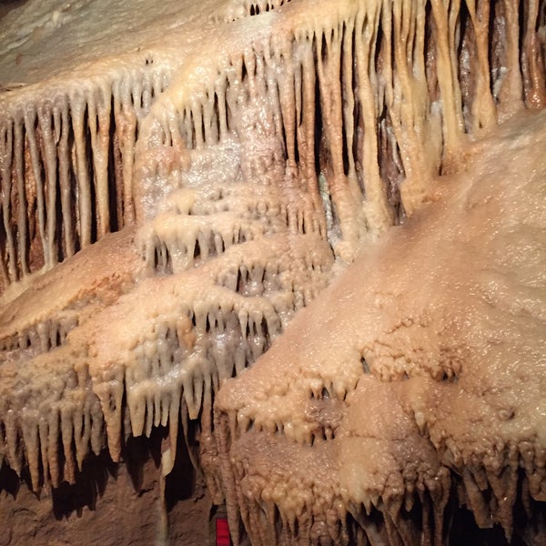 Gough's Cave - 1 tip