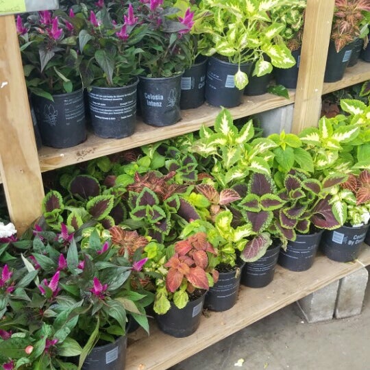 Photos at Menards - Bradley, IL