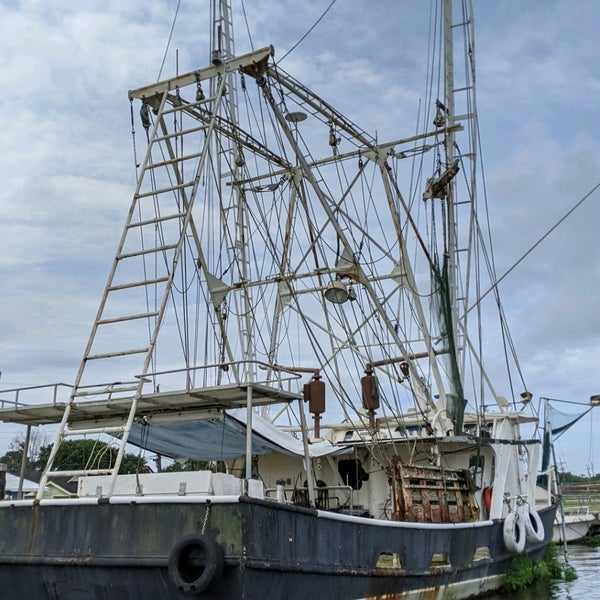 Bayou Segnette State Park - State or Provincial Park in Westwego