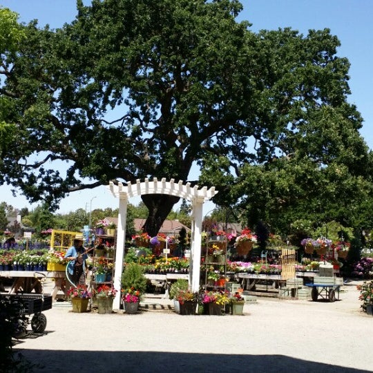 Photos at Alden Lane Nursery - Livermore-Pleasanton, CA