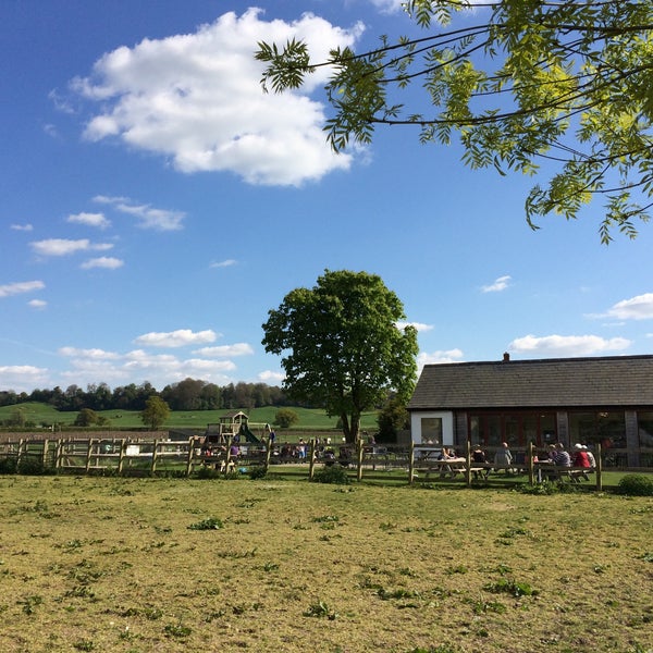 Rowdey Cow Farm Cafe And Ice Cream Parlour - Lower Farm