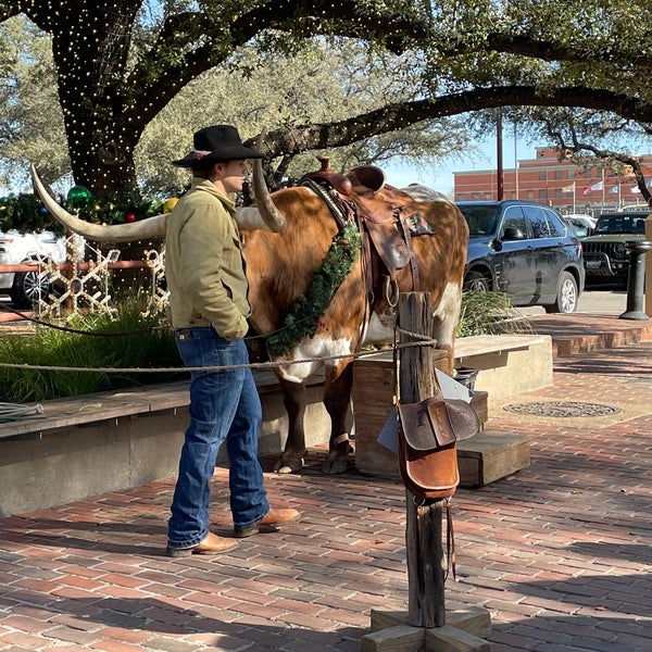 Stockyard Cattle Drive - 18 tips