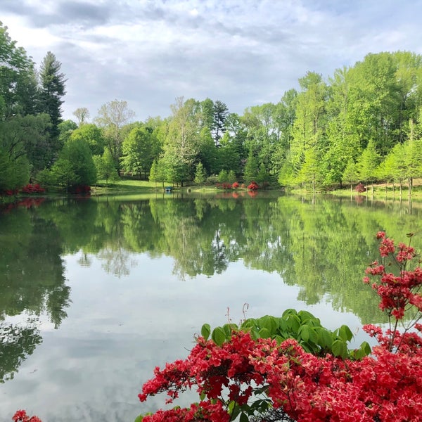 Azalea Path Arboretum And Botanical Gardens - 1 tip from 11 visitors